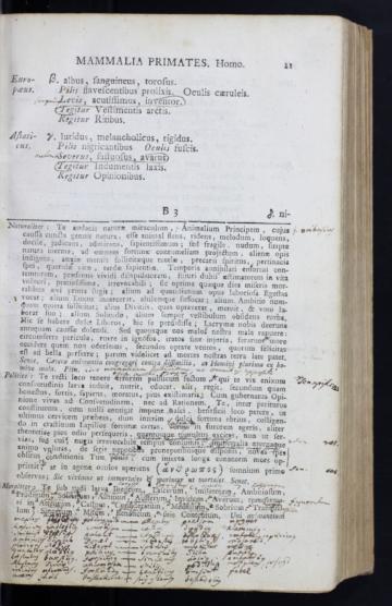 Linnaeus and Race | Who was Linnaeus? | Linnean Learning | The Linnean ...