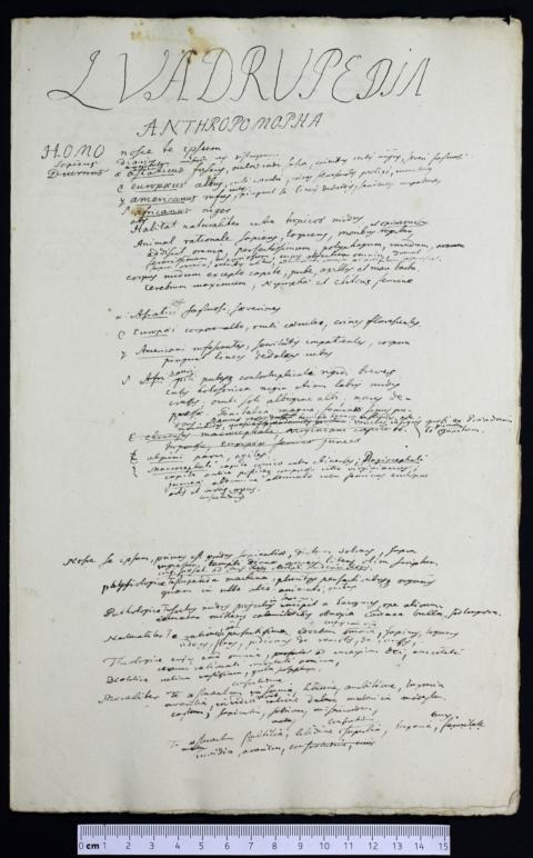 Linnaeus and Race | Who was Linnaeus? | Linnean Learning | The Linnean ...