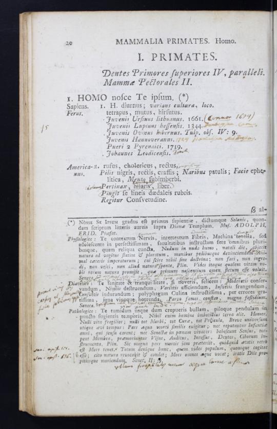 Linnaeus and Race | Who was Linnaeus? | Linnean Learning | The Linnean ...