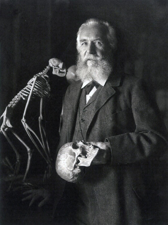 9th August 2019: Ernst Haeckel (100 years) | News | The Linnean Society