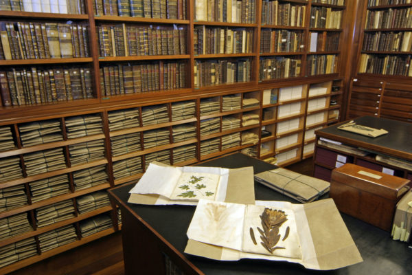Explore our Building and Collections | The Linnean Society