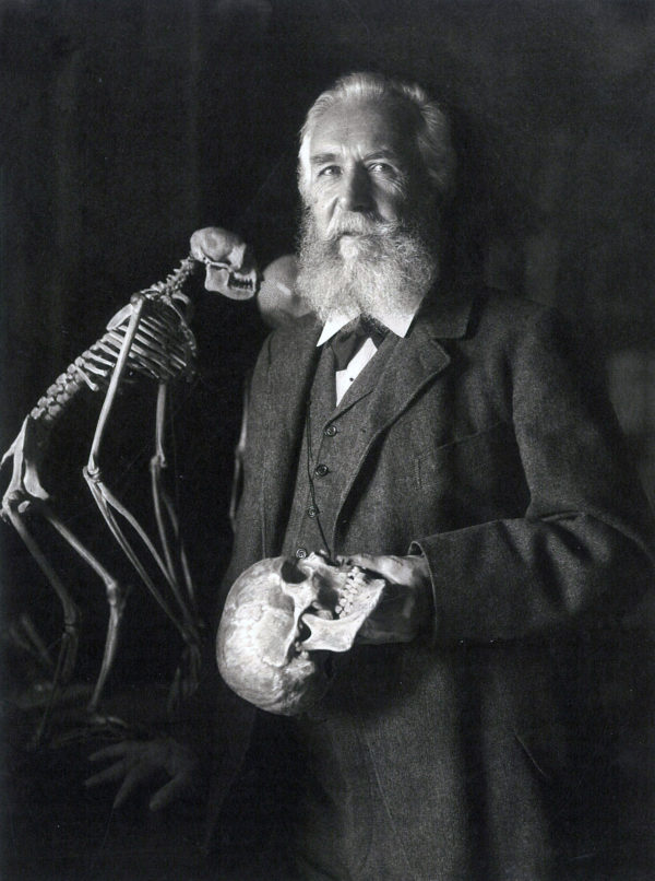 Ernst Haeckel (100 years) | The Linnean Society