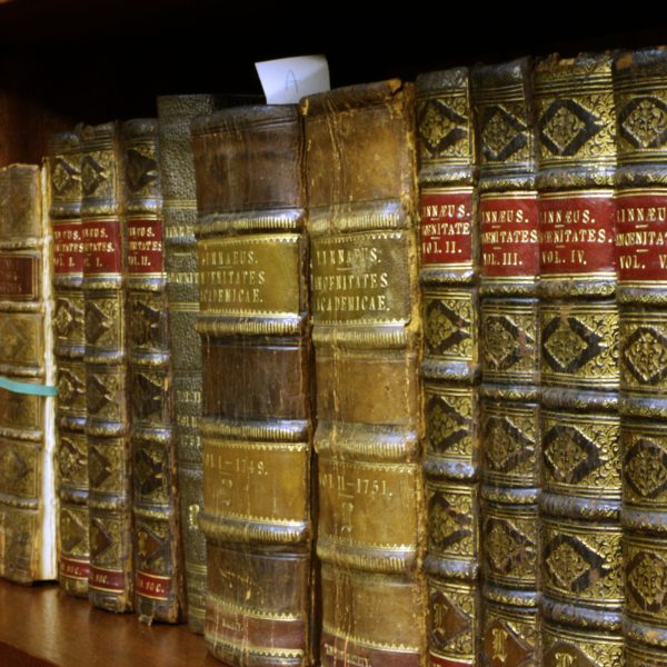 Linnaean Collections | The Linnean Society