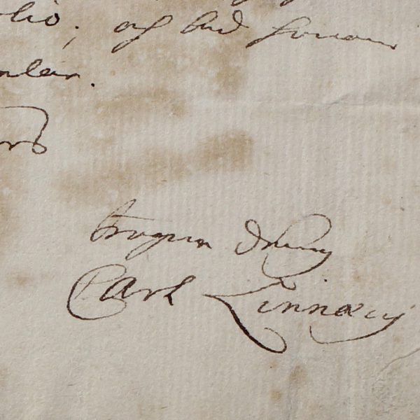 Linnaean Collections | The Linnean Society