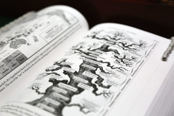 OneZoom: Tree of Life explorer | The Linnean Society