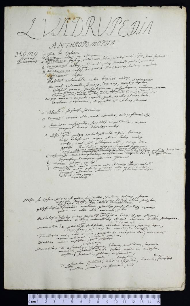 Linnaeus and Race | Who was Linnaeus? | Linnean Learning | The Linnean ...