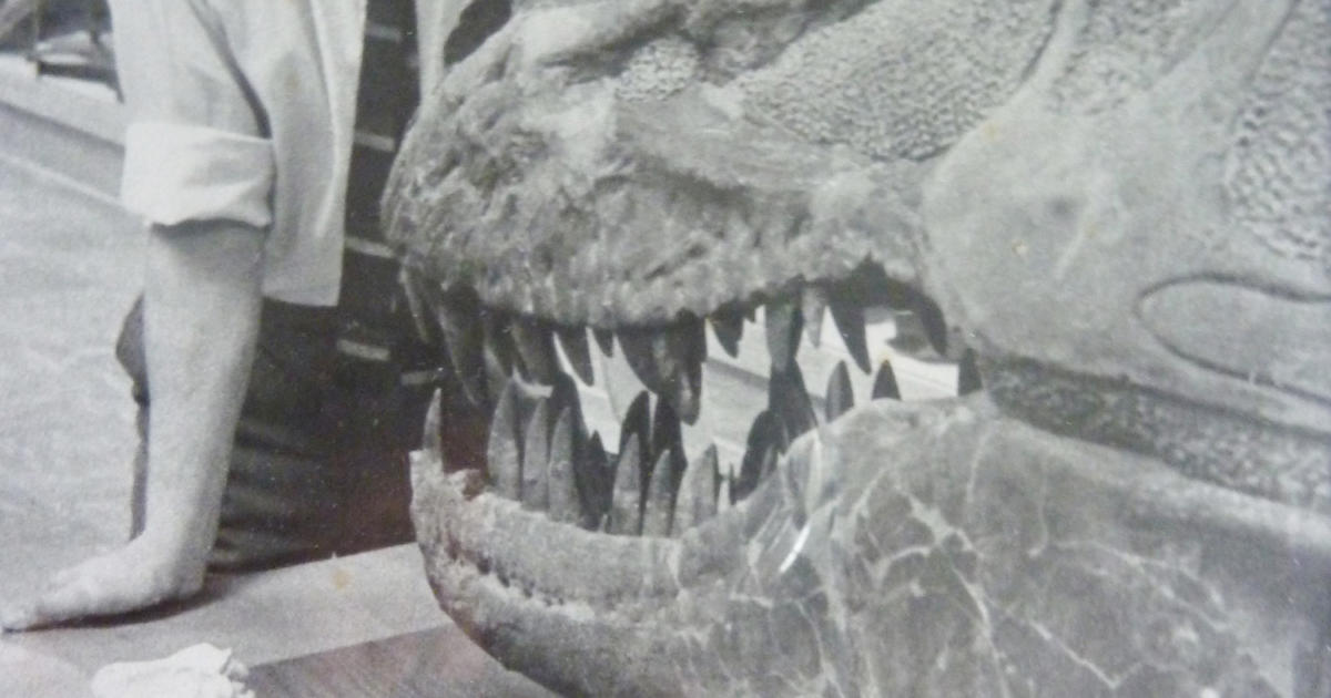 Professor Brian G. Gardiner PPLS (1932-2021) | News | The Linnean Society