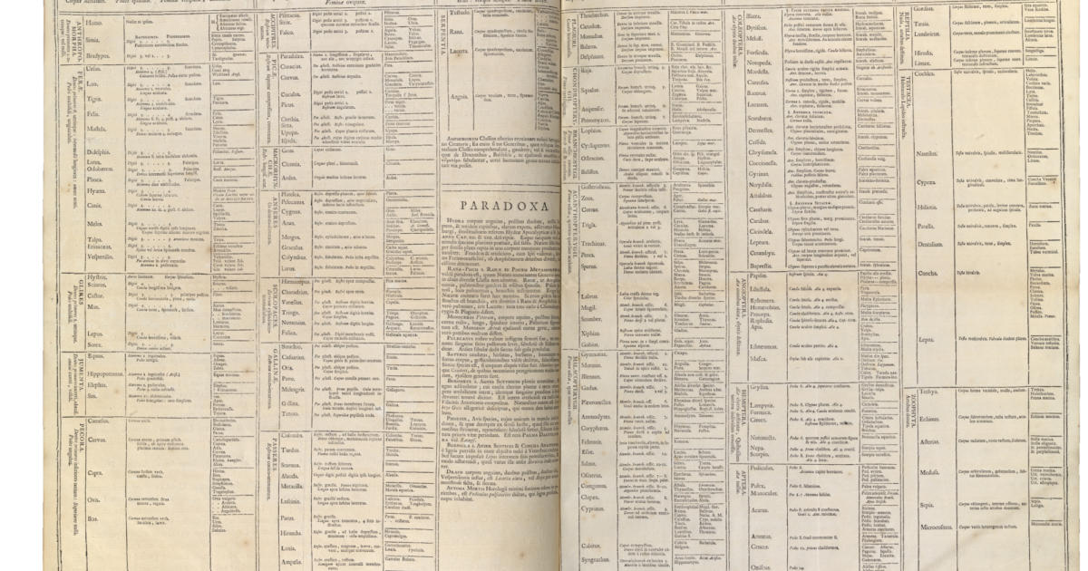 Linnaeus and Race | Who was Linnaeus? | Linnean Learning | The Linnean ...