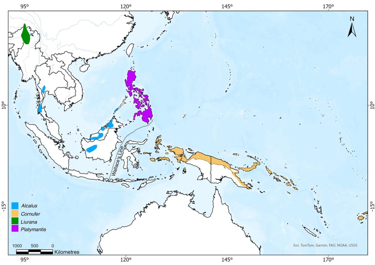 Island-Hopping Frogs: How Geology, Ocean… | The Linnean Society