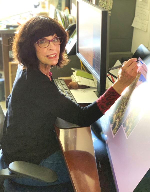 The Jill Smythies Award | The Linnean Society