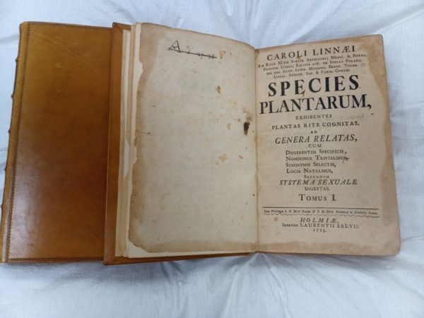 Species Plantarum at 270 | The Linnean Society