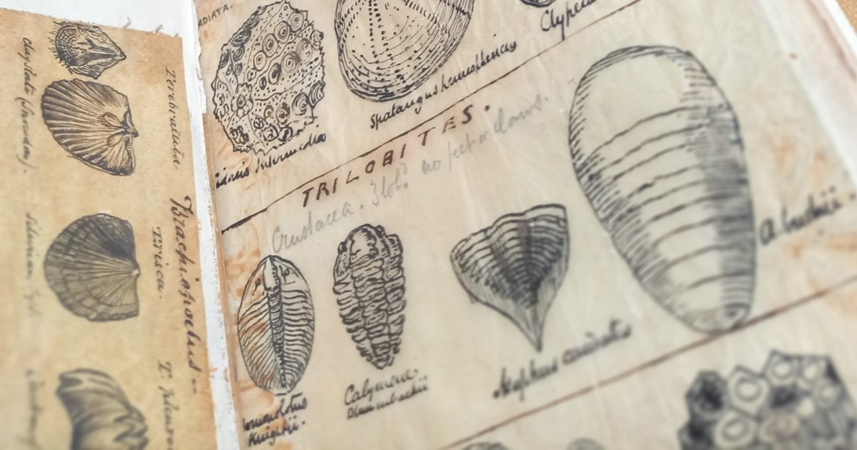 Exploring Alfred Russel Wallace's Private… | The Linnean Society