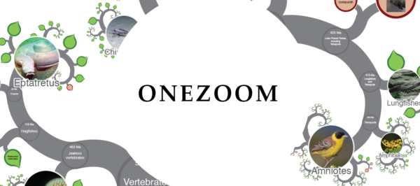 OneZoom: Tree of Life explorer | The Linnean Society