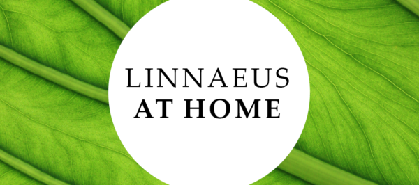 The Linnaeus at Home Book | The Linnean Society