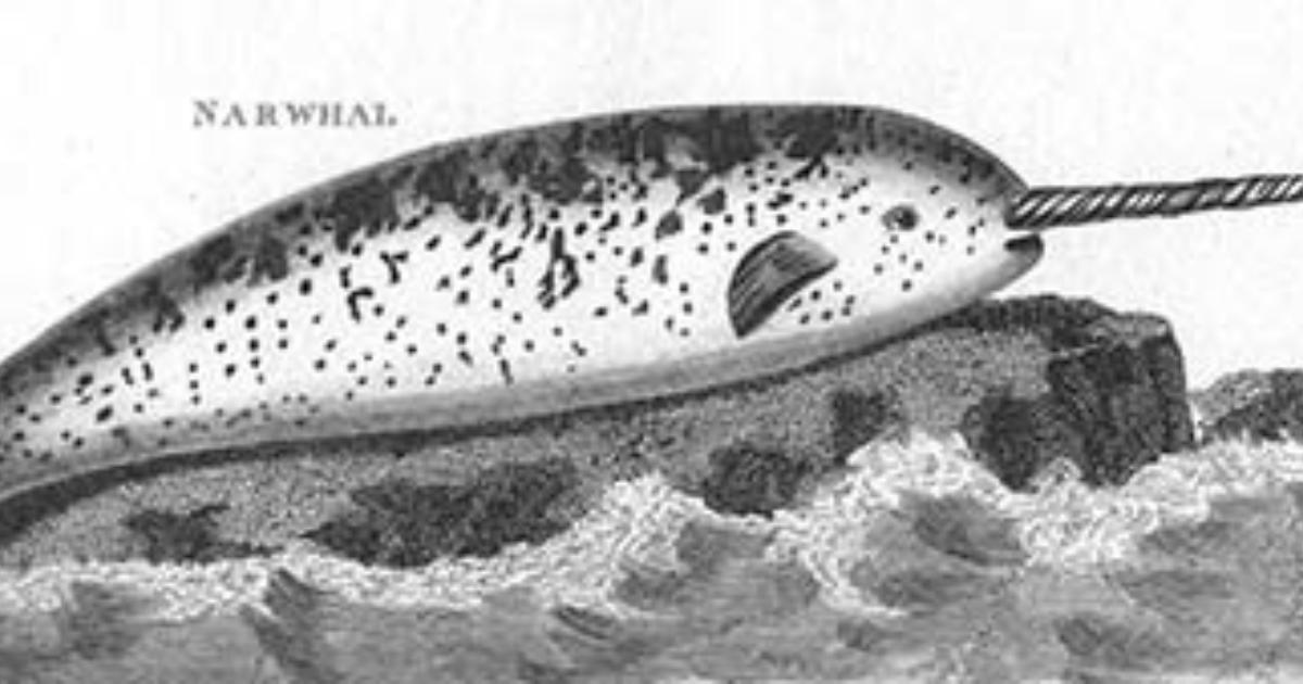 December 2012: Animalia Paradoxa | News | The Linnean Society